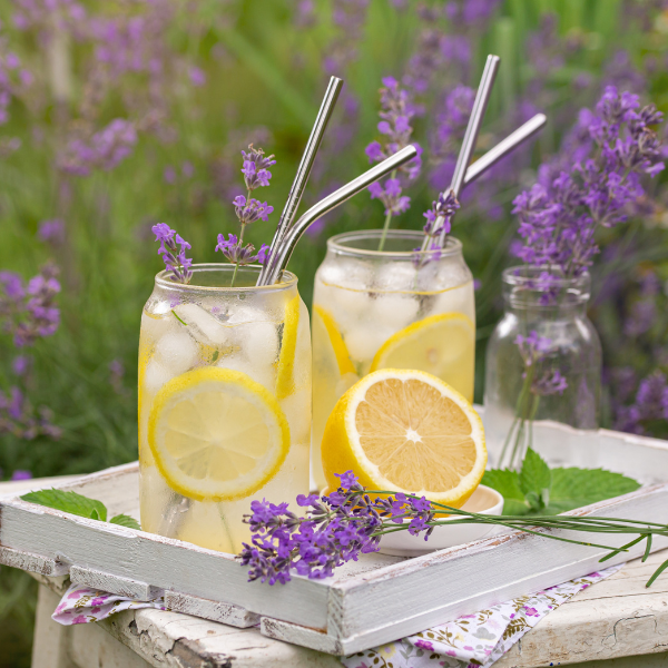 Frozen Lavender Lemonade Refresher – Mt. Capra