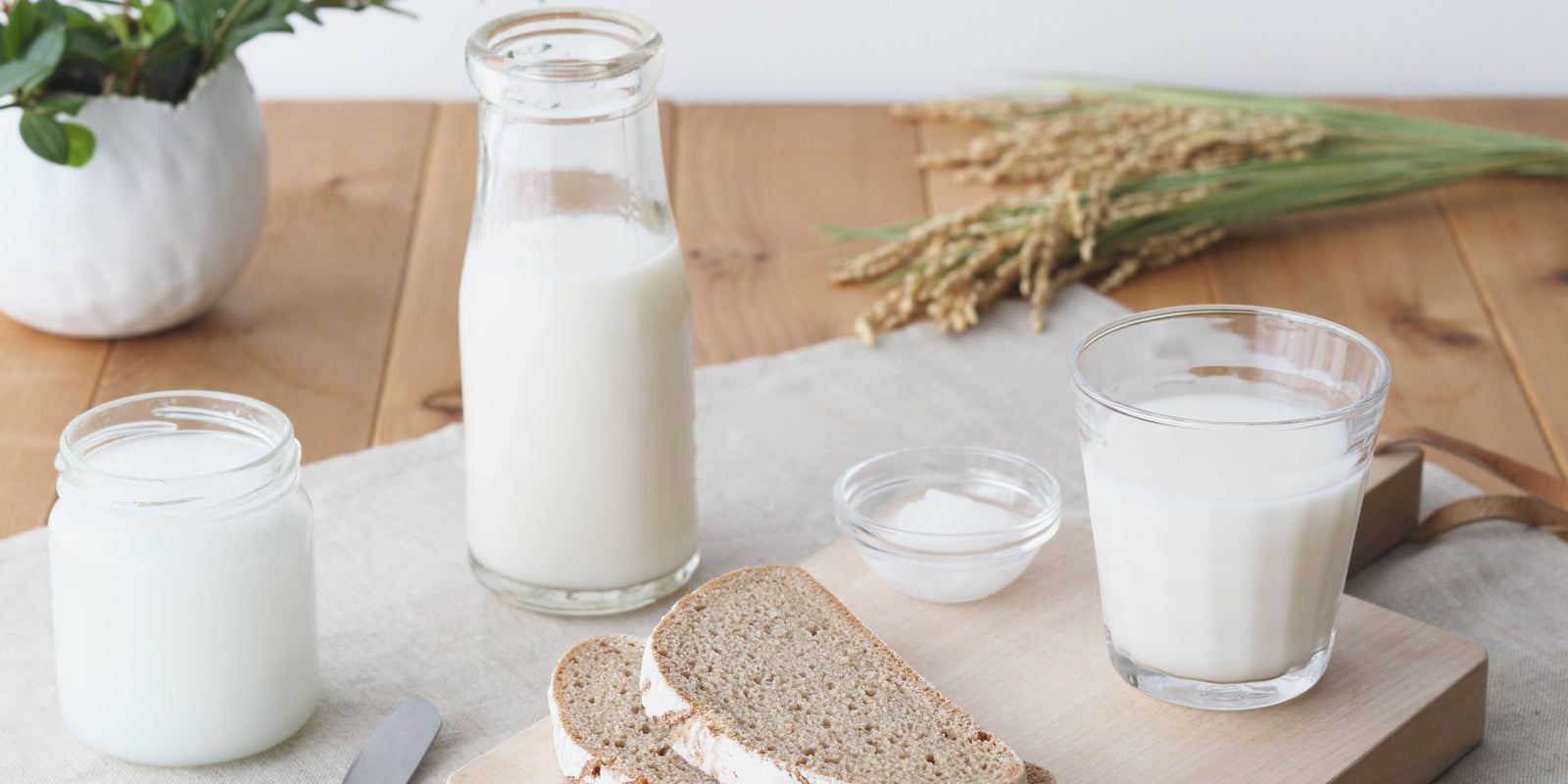 5 Tips to Improve the Digestibility of Milk – Mt. Capra